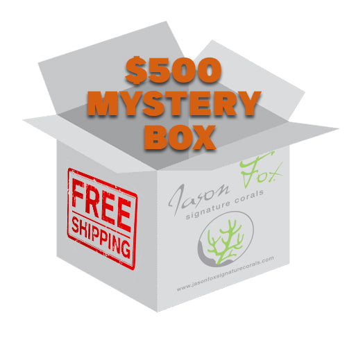 JF MYSTERY BOX (15 mixed frags) – Jason Fox Signature Corals