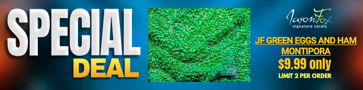 Collections – Jason Fox Signature Corals