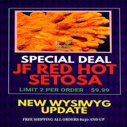 Jason Fox Enchanted Forest Birds Nest – Jason Fox Signature Corals