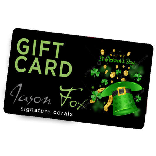 Jason Fox Signature Corals | JF Saltwater Reef Corals from the Source